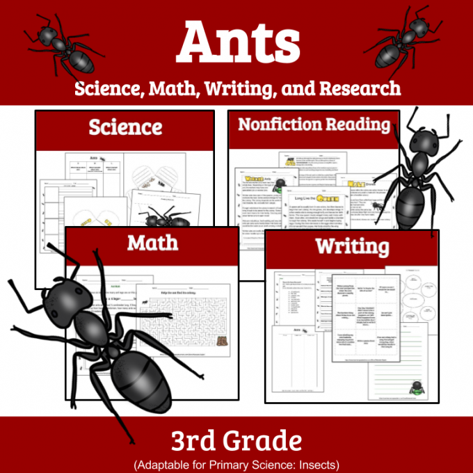 Ants: Unit Study